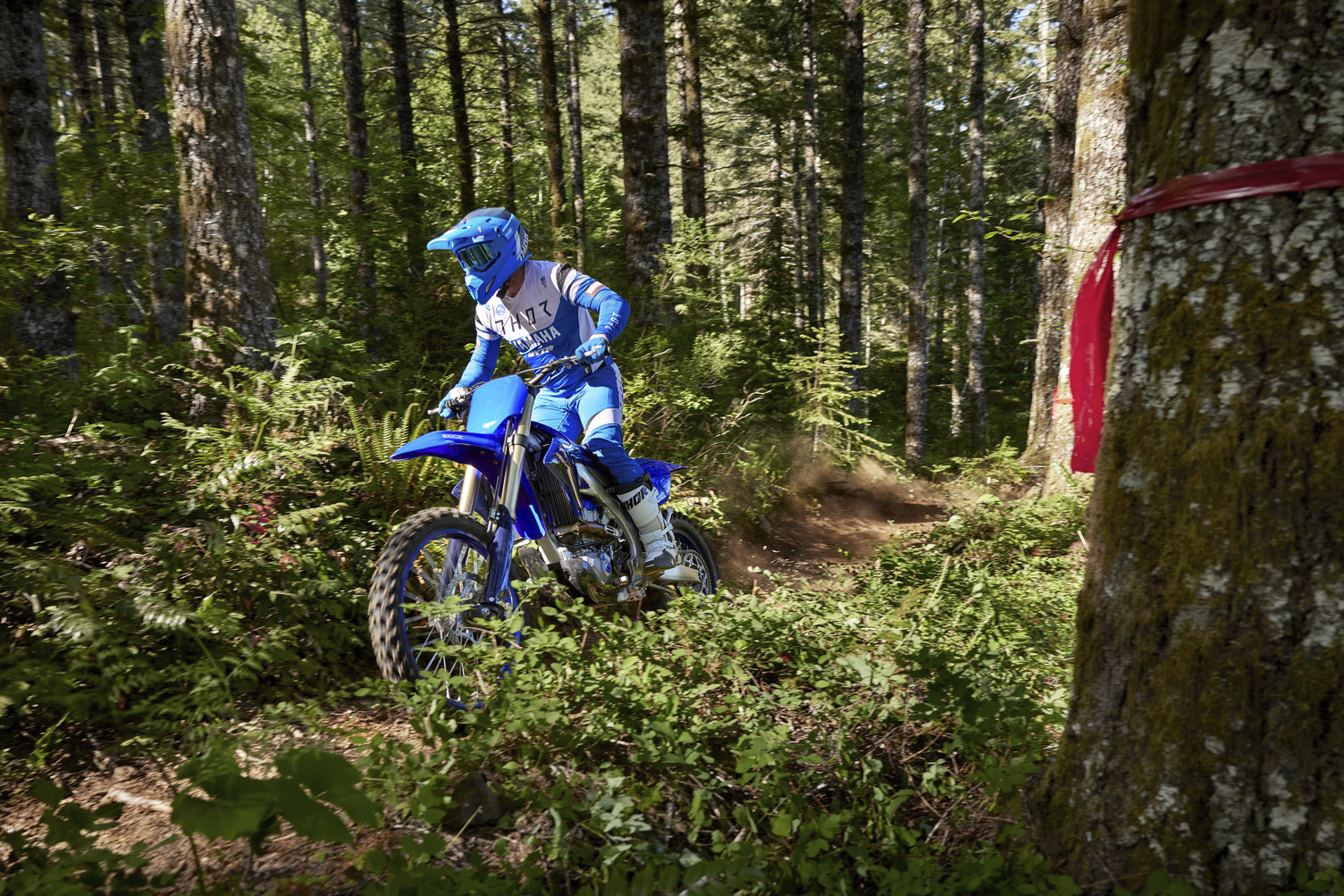 2024 Yamaha Cross Country Model Intro: YZ125X, YZ250X, and YZ450F ...